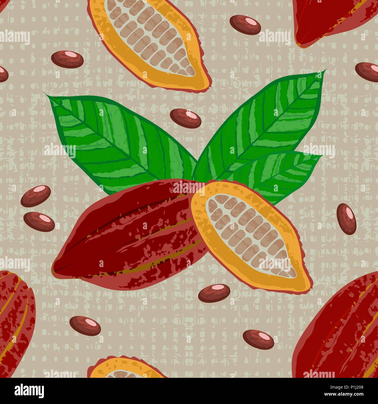 Cocoa fruits and leaves. Whole fruit, cut, cocoa beans. Vector ...