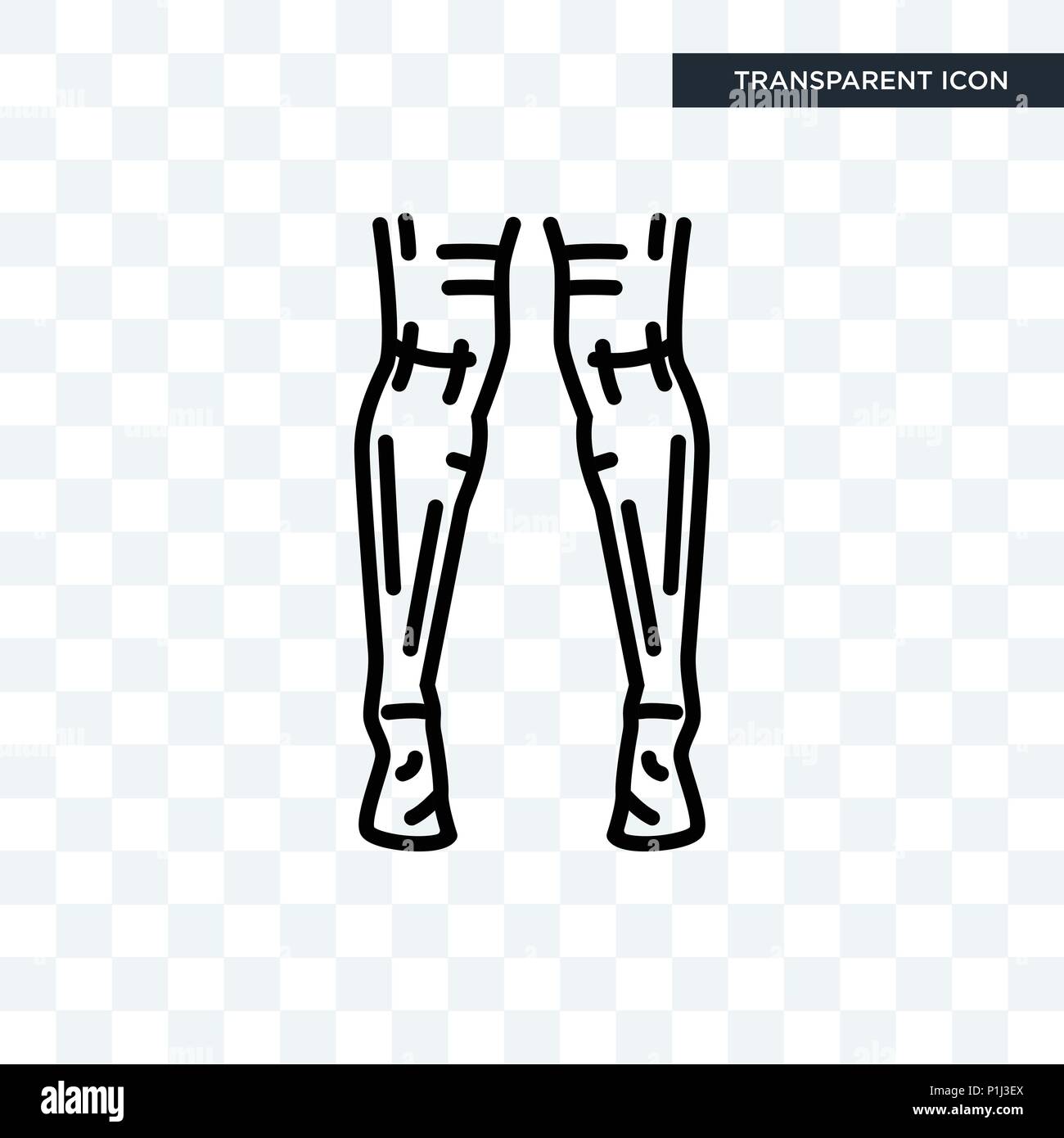 Back Side Of Legs vector icon isolated on transparent background, Back ...