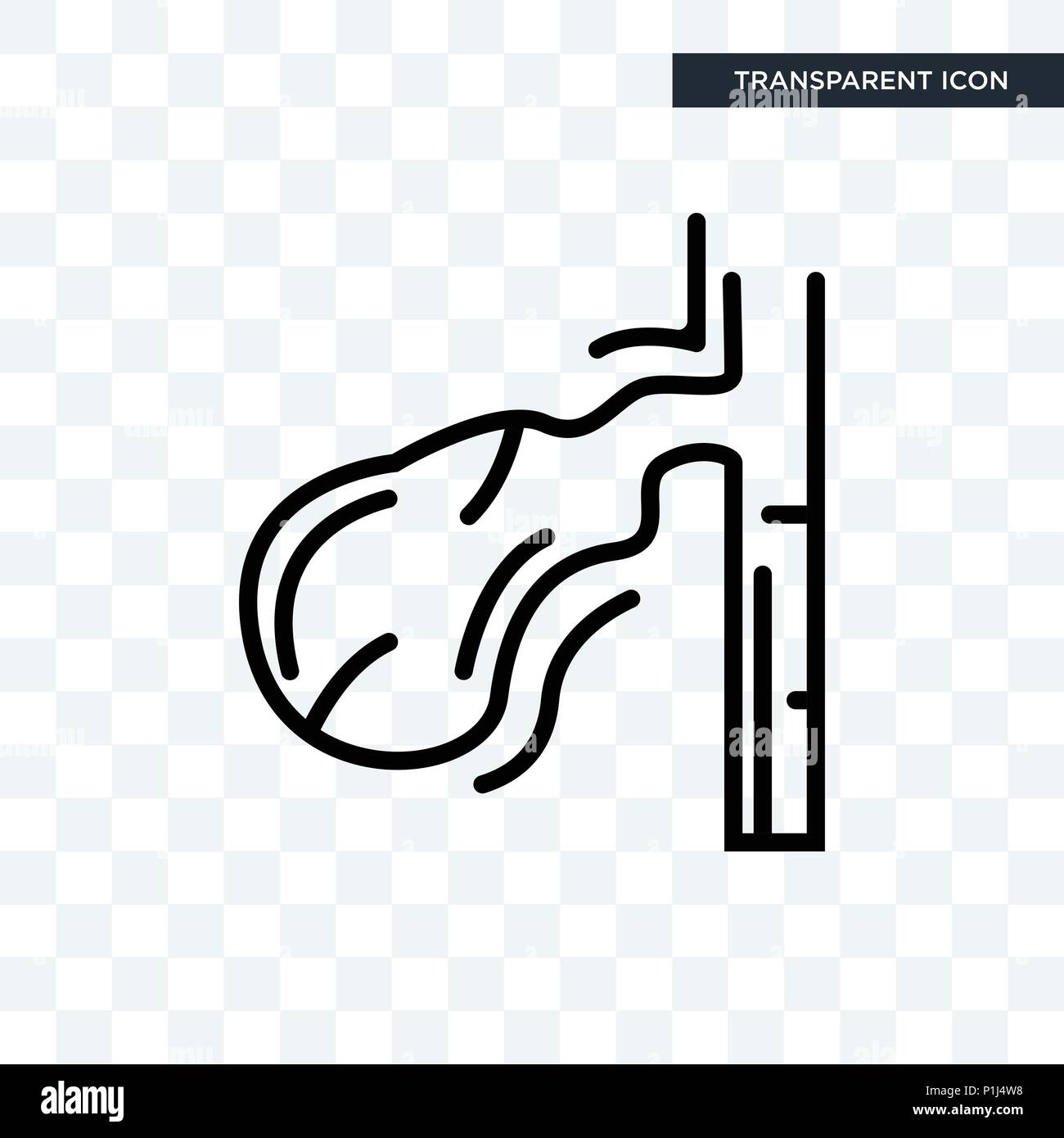 Gallbladder vector icon isolated on transparent background, Gallbladder ...