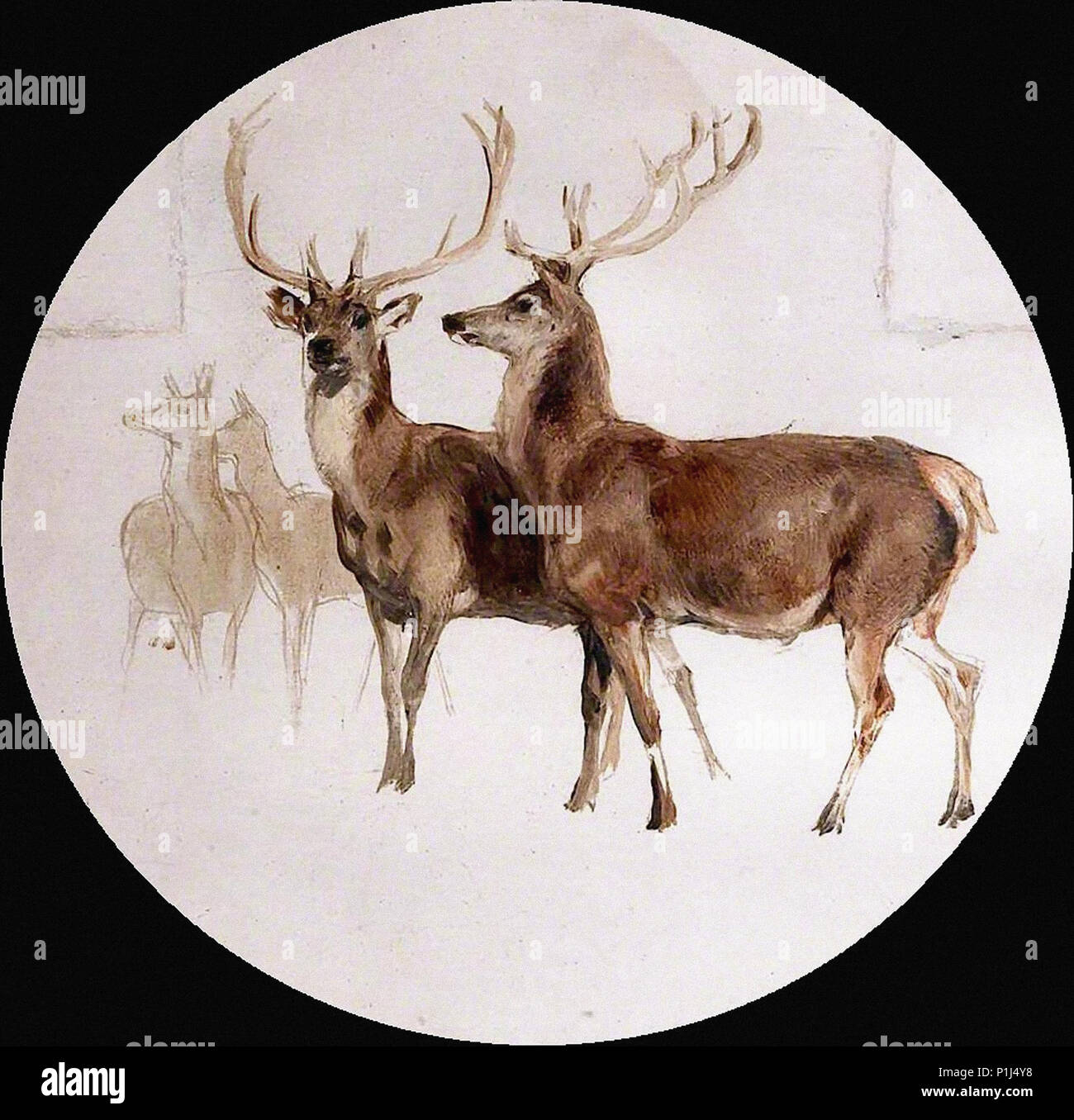 Deer in the landscape hi-res stock photography and images - Alamy