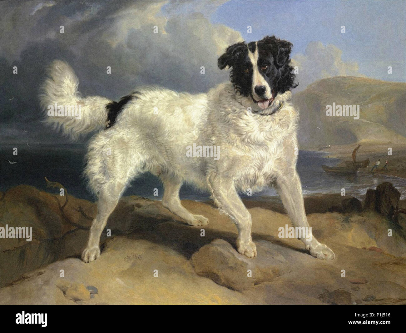 Landseer Sir Edwin Henry - Neptune Stock Photo - Alamy