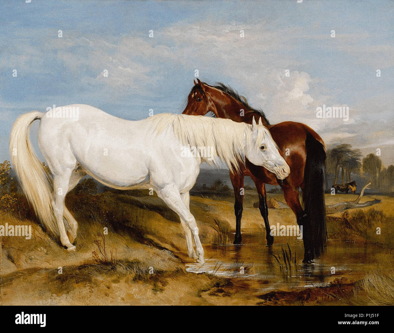 Landseer Sir Edwin Henry - Portrait of an Arab Mare with Her Foal Stock ...