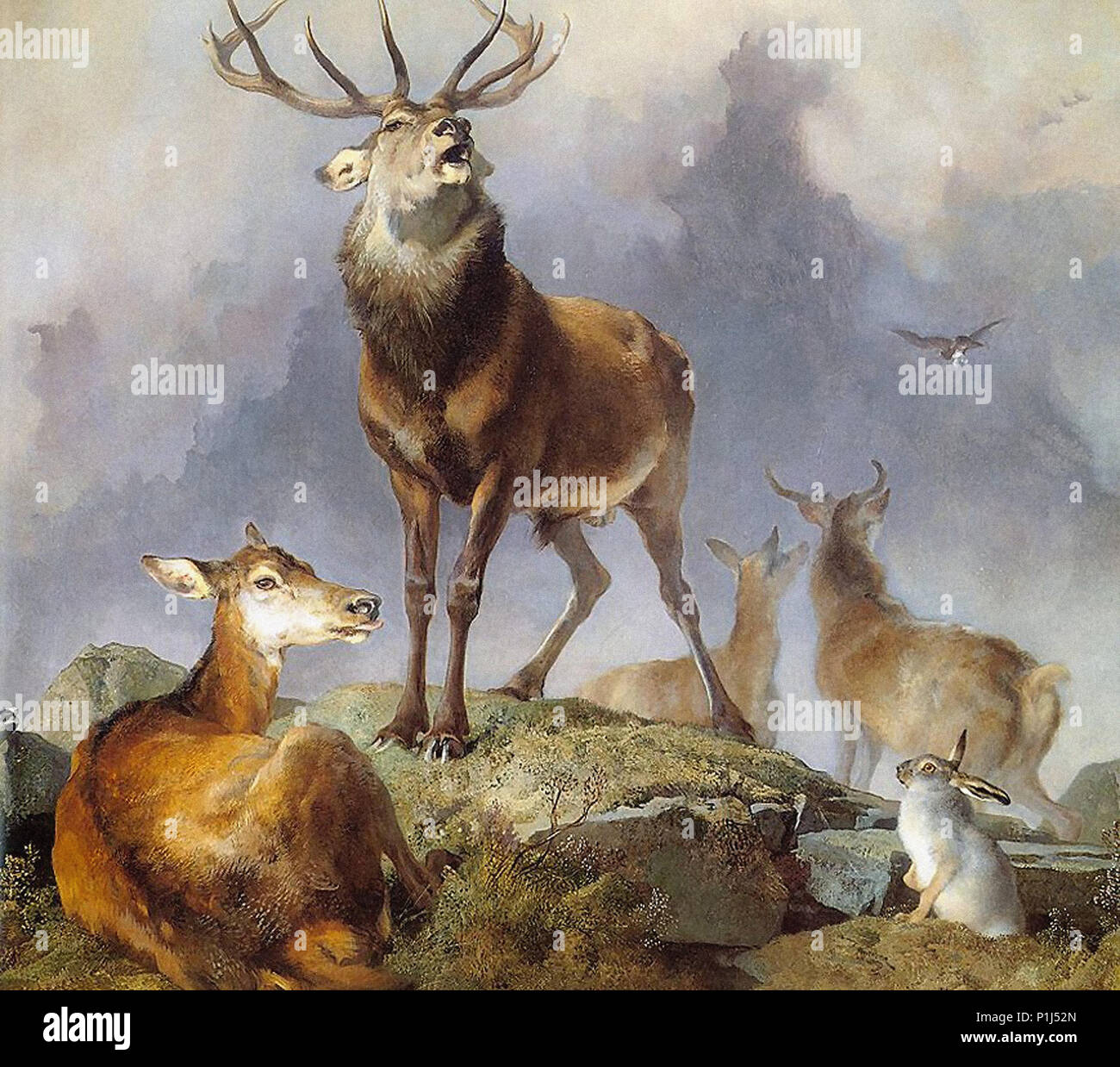 Landseer Sir Edwin Henry - Scene in Braemar - Highland Deer Stock Photo ...