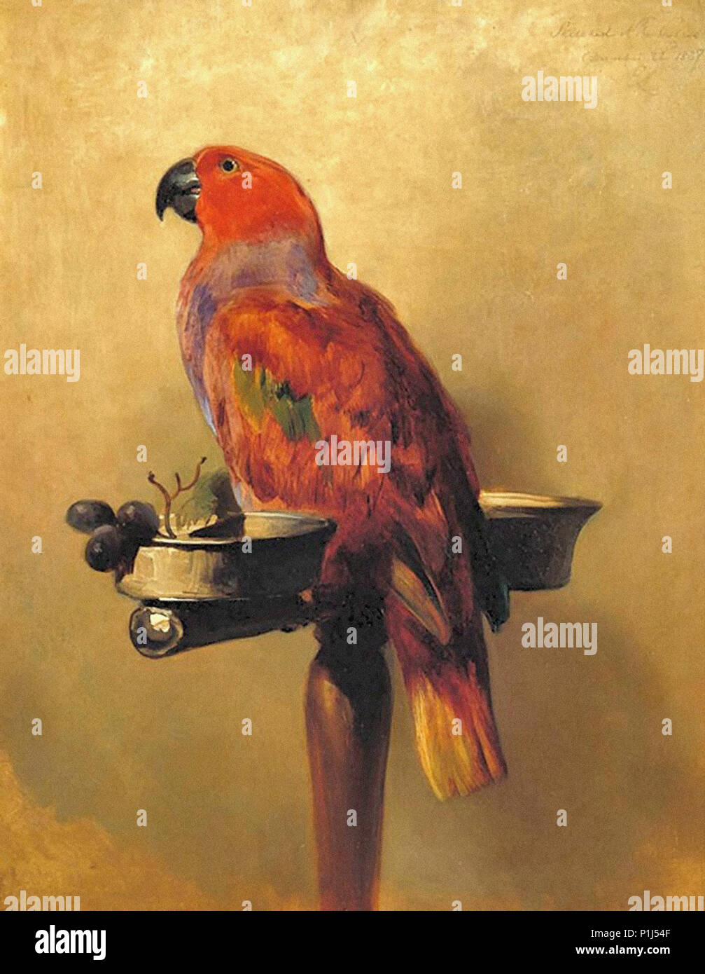 Landseer Sir Edwin Henry - the Lory Stock Photo - Alamy