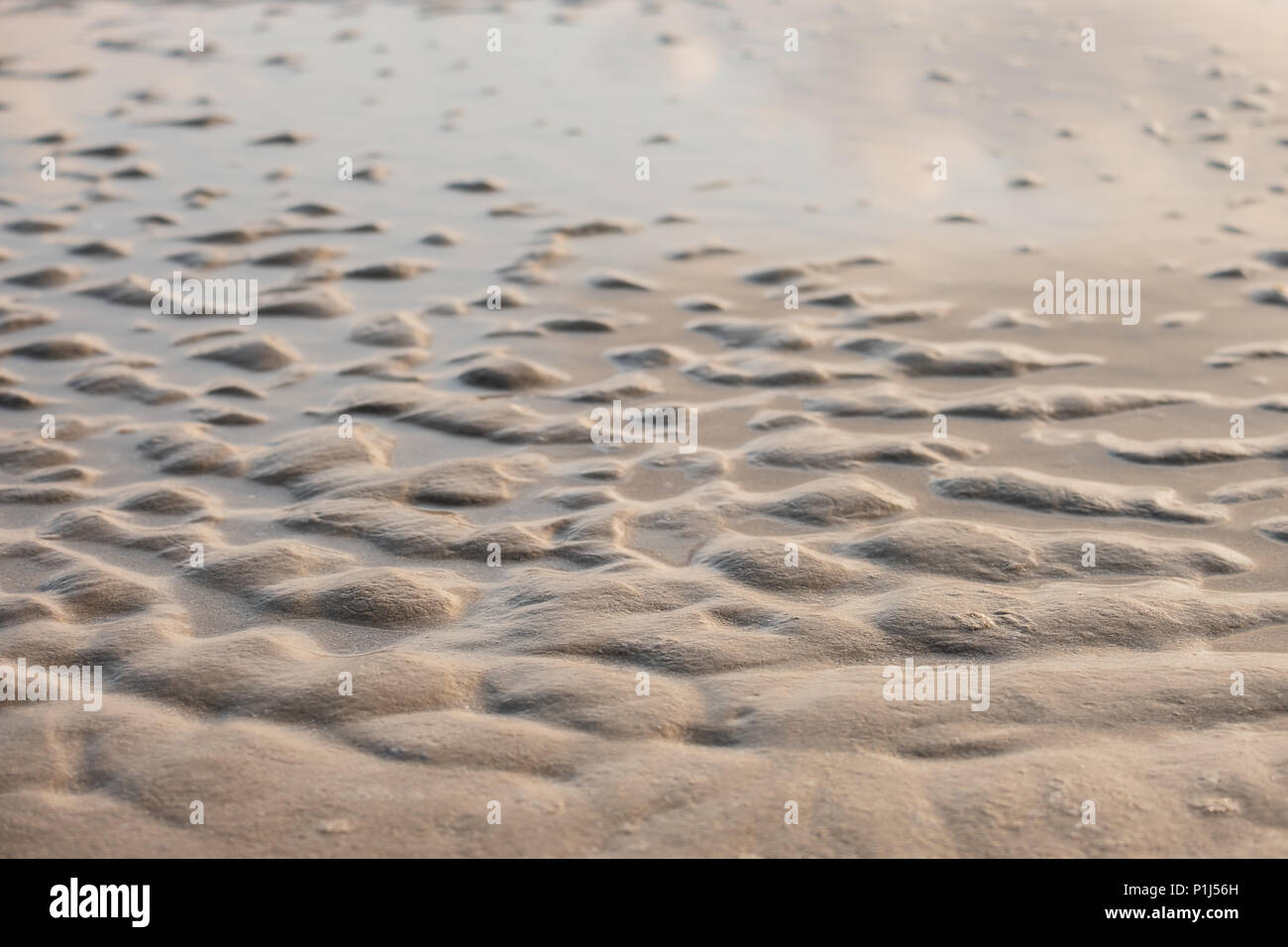 Wet sand beach texture for background Stock Photo - Alamy
