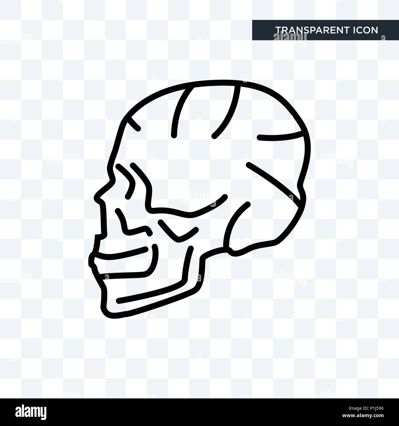 Skull Side View vector icon isolated on transparent background, Skull ...