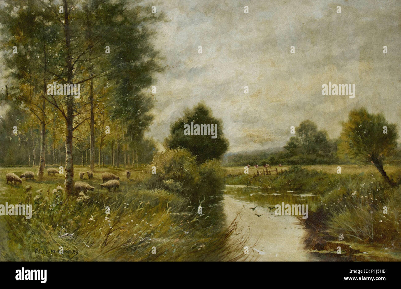 Langley William - Sheep Grazing by a River Stock Photo - Alamy