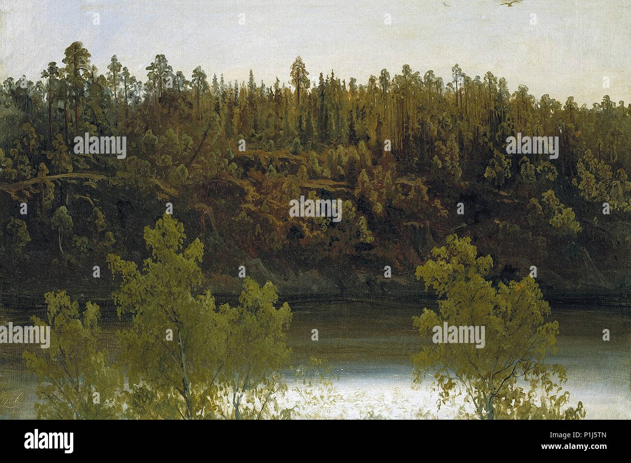 Larson Marcus - Swedish Lake (Study Stock Photo - Alamy