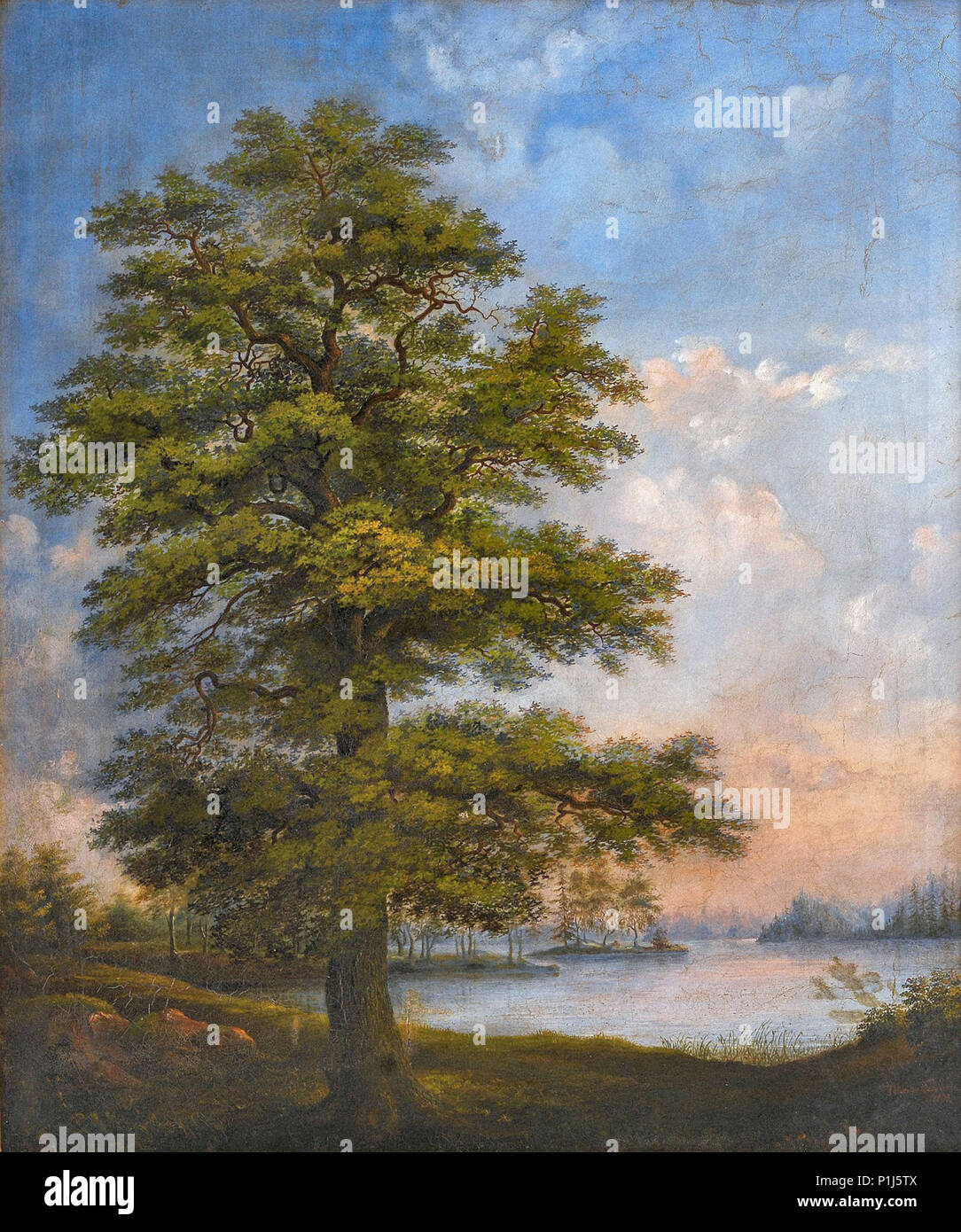 Larson Marcus - Tree by the Shore Stock Photo - Alamy