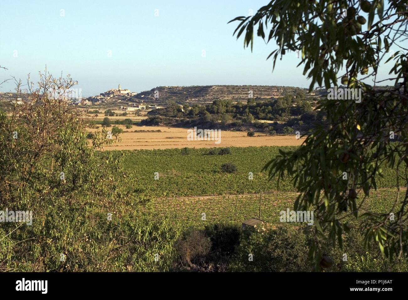 Garrigues comarca hi-res stock photography and images - Alamy