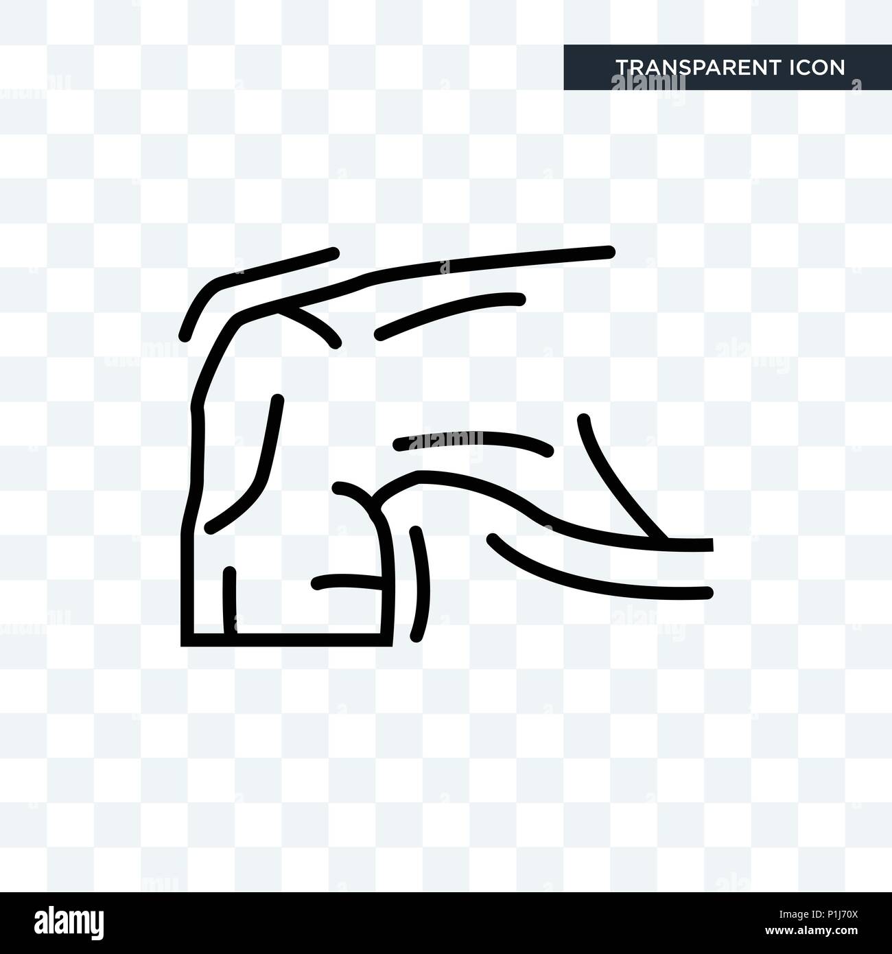 Human Skin vector icon isolated on transparent background, Human Skin ...