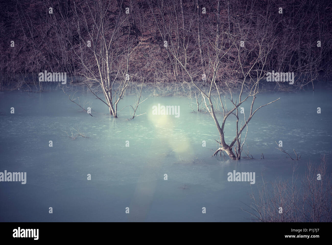 Dying vegetation. Water contaminated by copper mining residuals. Rosia ...