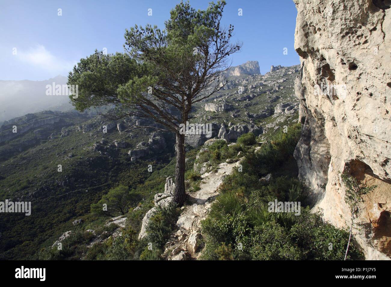 El perello hi-res stock photography and images - Alamy