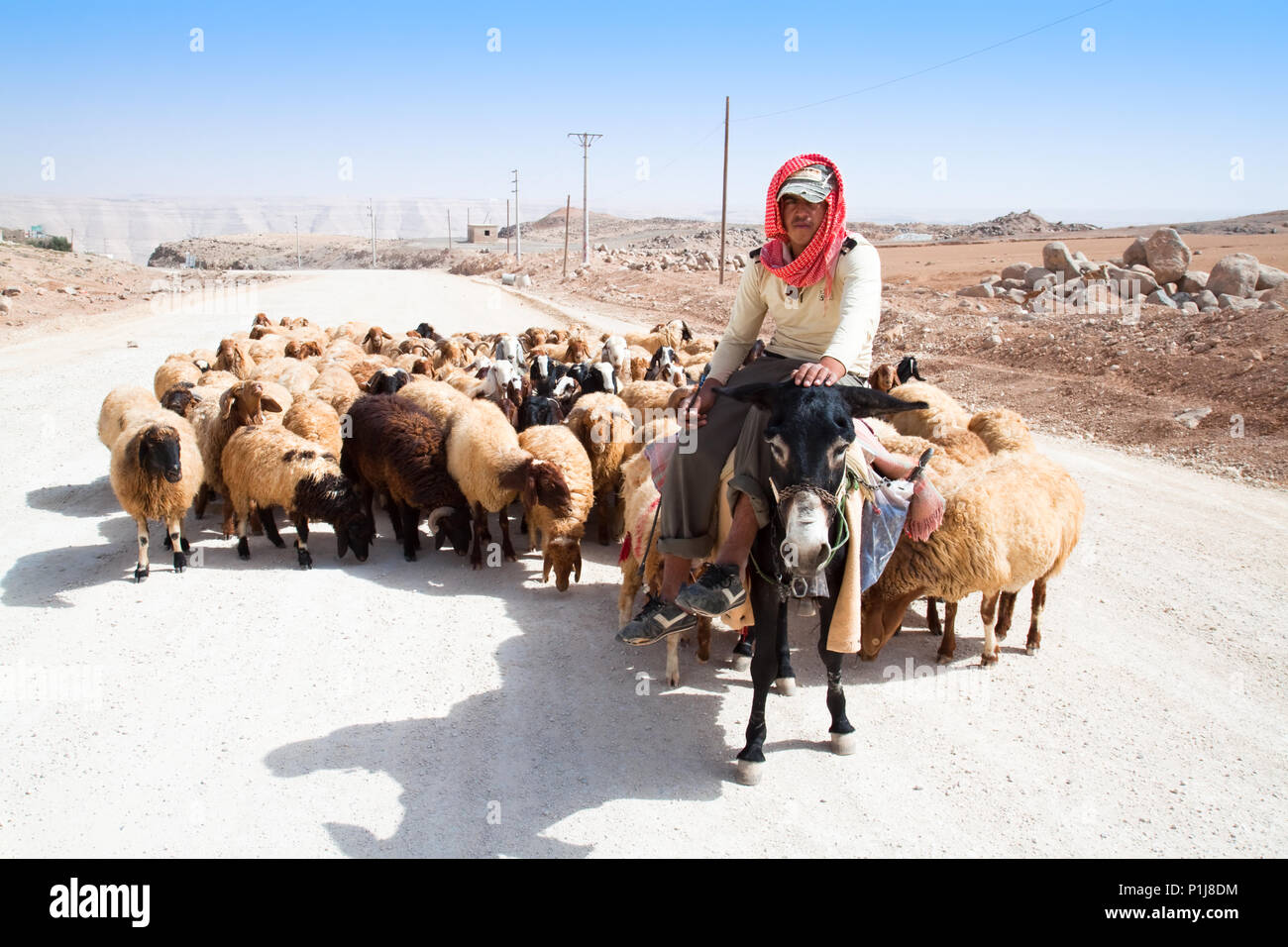 Jordan farmer hi-res stock photography and images - Alamy