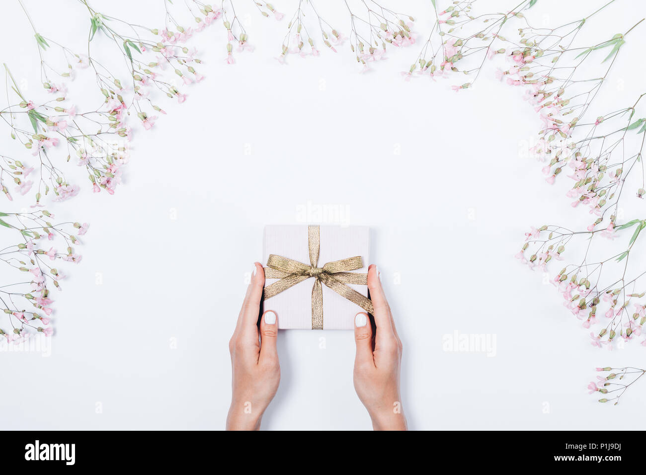 Woman's hands holding a present box with gold bow among pink flowers on ...