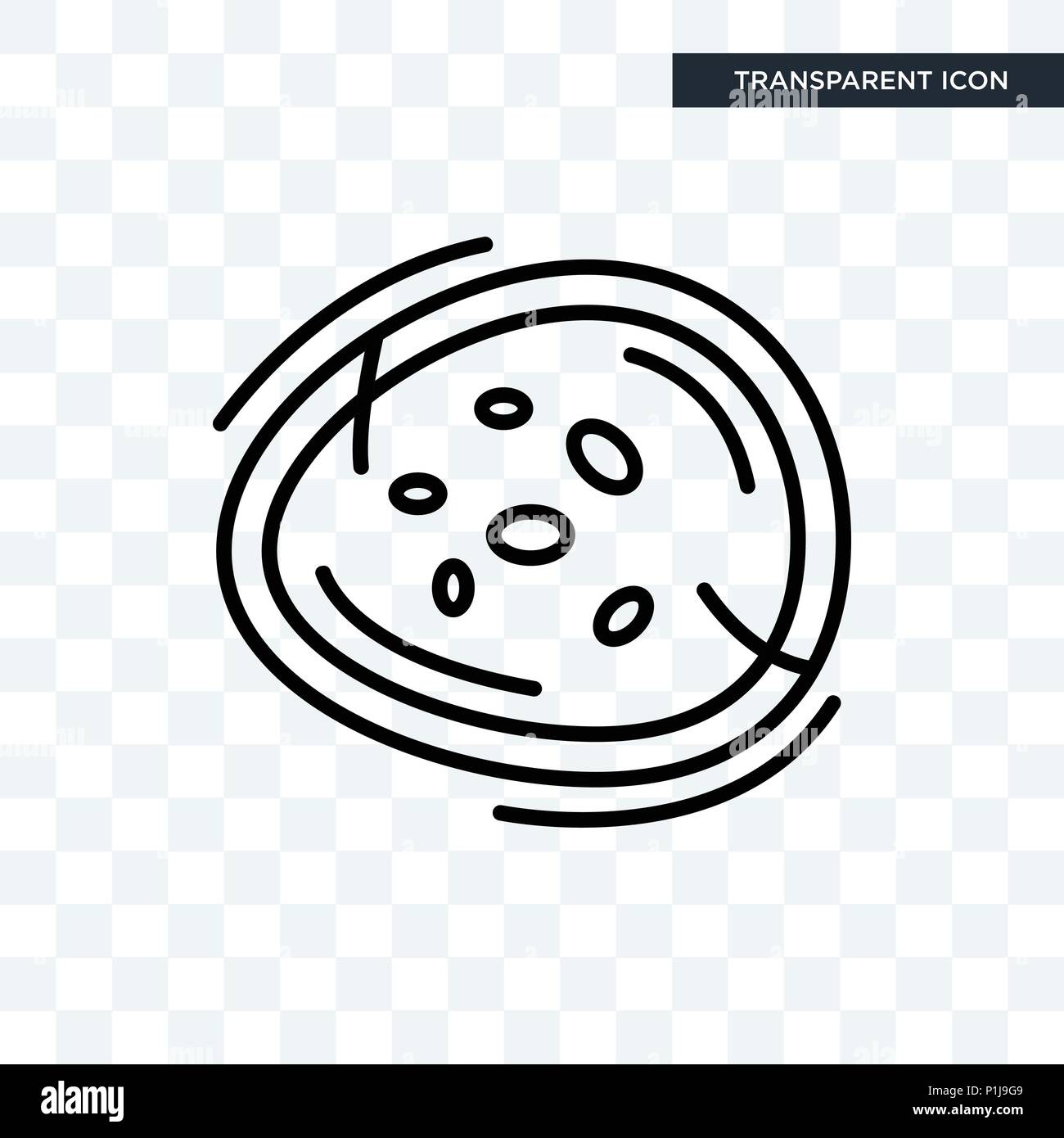 Basophil vector icon isolated on transparent background, Basophil logo ...