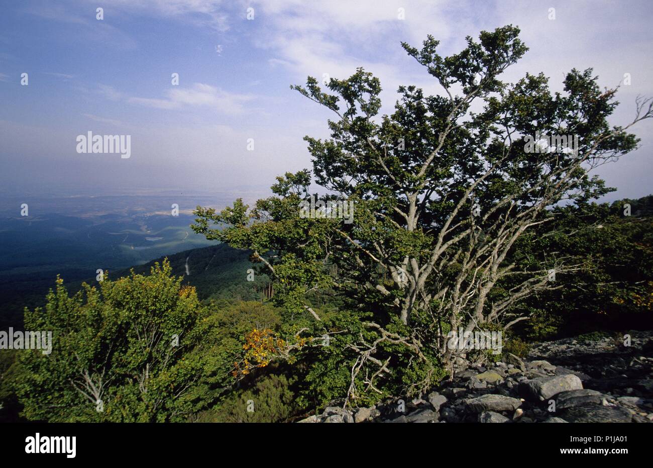 Santuario del moncayo hi-res stock photography and images - Alamy