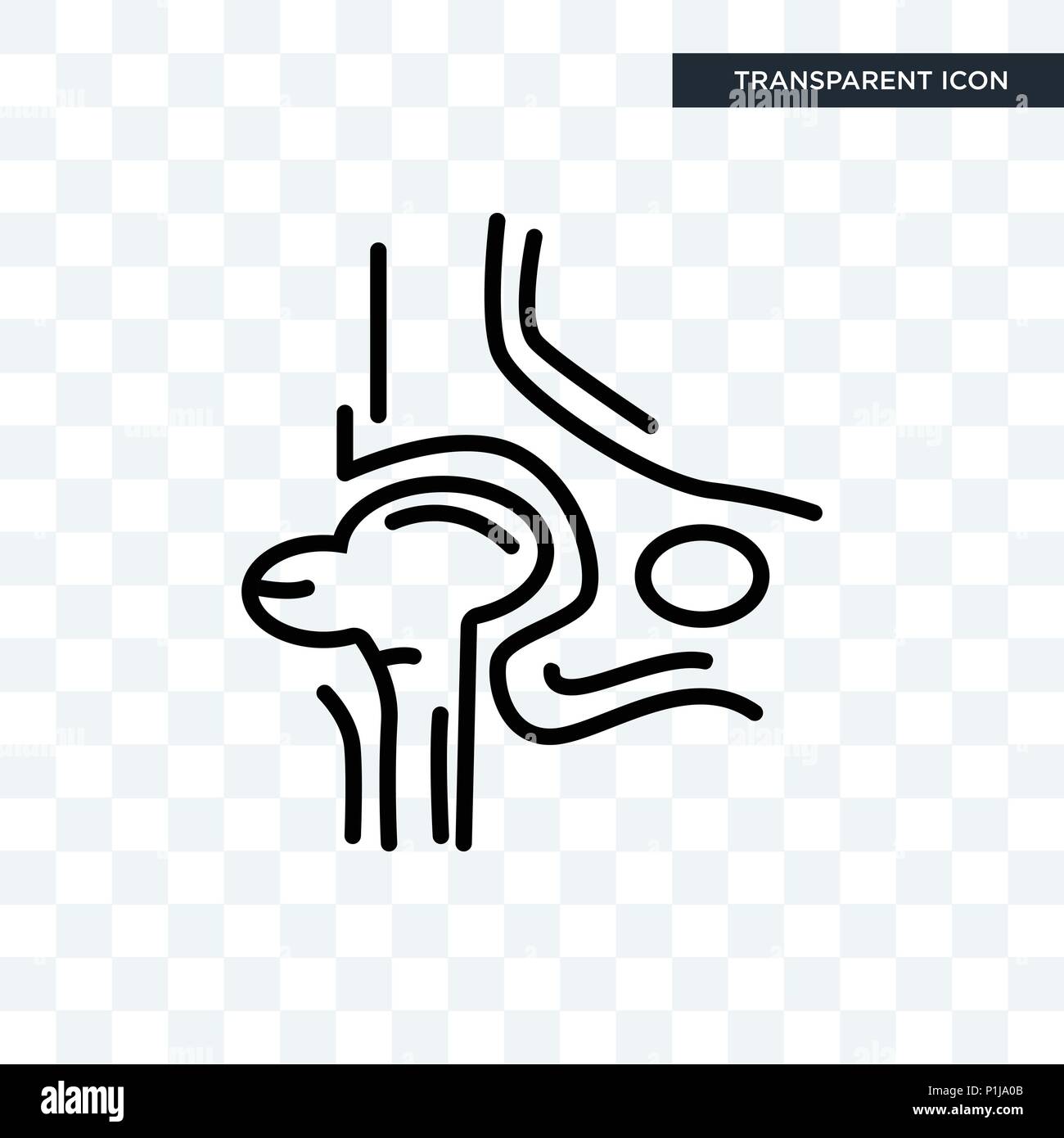 Hip Bone vector icon isolated on transparent background, Hip Bone logo ...