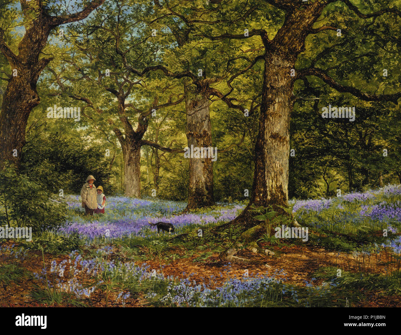 Leader Benjamin Williams - Blue Bells Stock Photo - Alamy