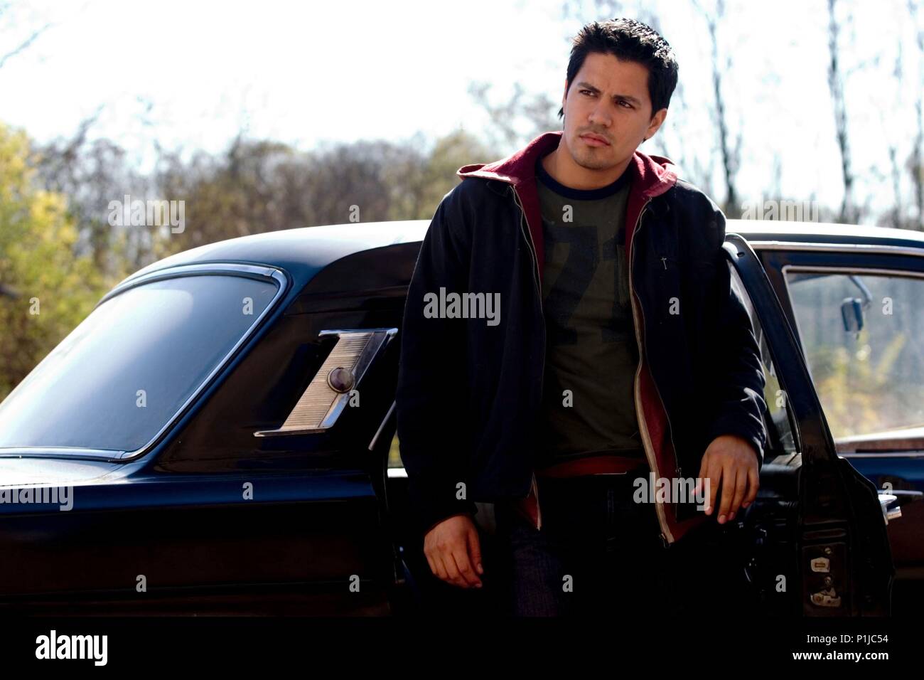 Original Film Title: HOSTEL. English Title: HOSTEL. Film Director: ELI ...