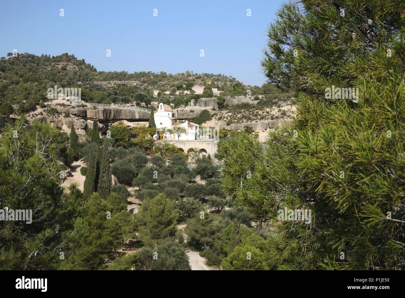 Arbol de ribera hi-res stock photography and images - Alamy
