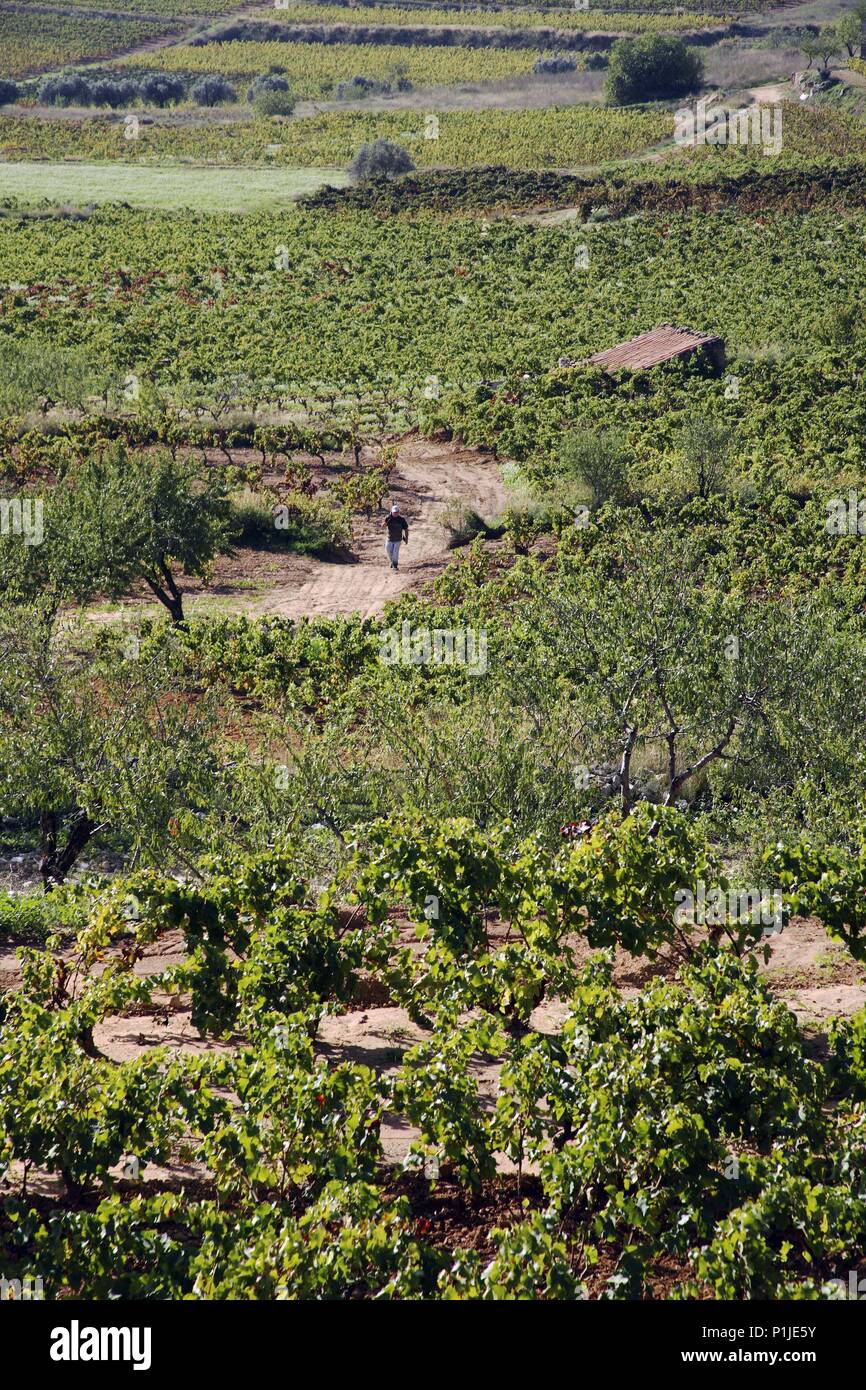 Terra alta district hi-res stock photography and images - Alamy