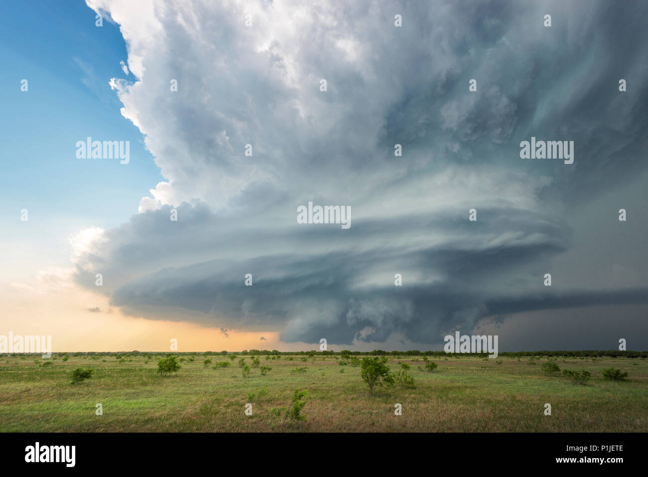 What Is A Tail Cloud