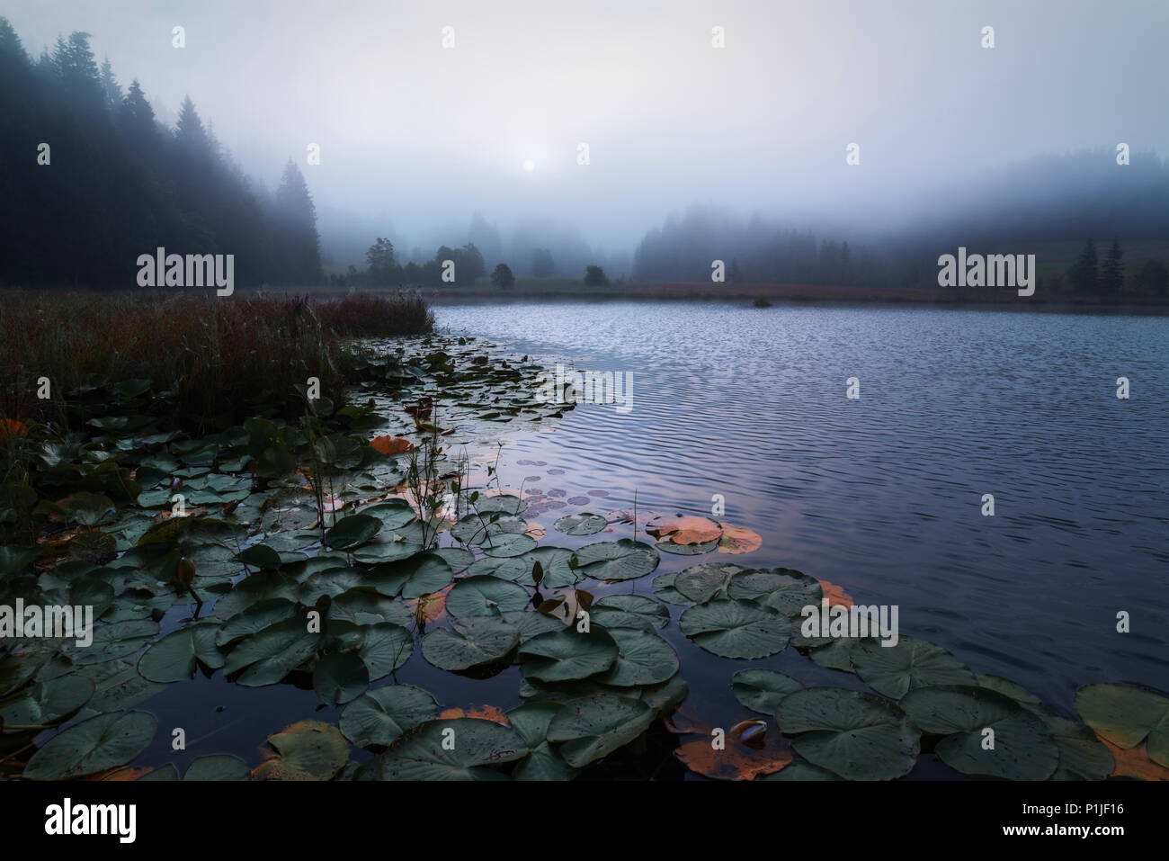 Krun germany hi-res stock photography and images - Alamy