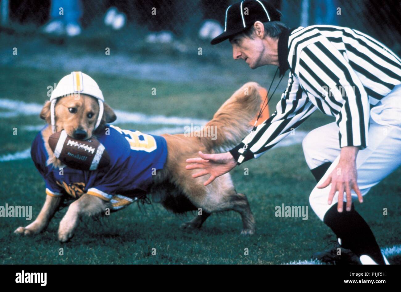 Air bud football hi-res stock photography and images - Alamy