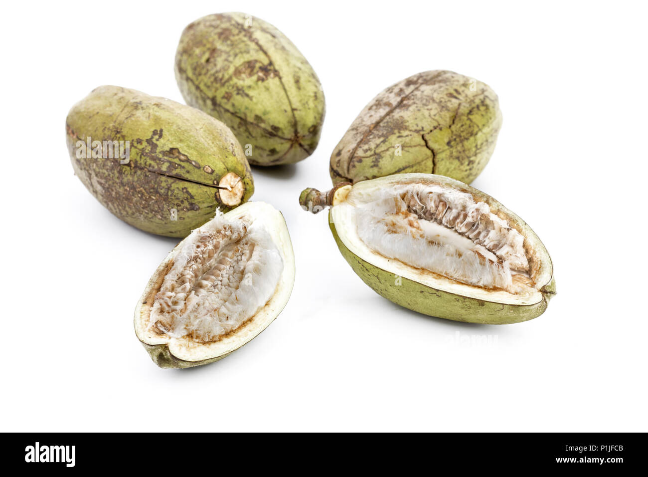 Pods of Bombax ceiba L,bristly tree and eatable flower Stock Photo - Alamy