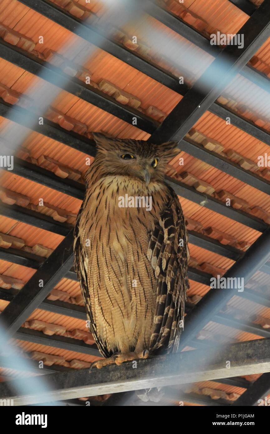 Equilibrio de equilibrio hi-res stock photography and images - Alamy