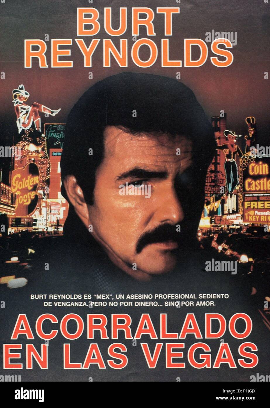 Original Film Title: ANN. English Title: ANN. Film Director: JERRY ...