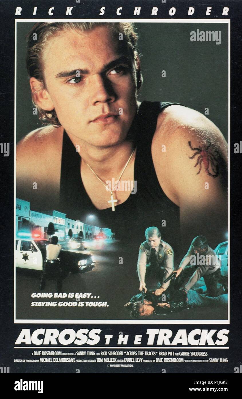 The Outsiders Movie Sandy