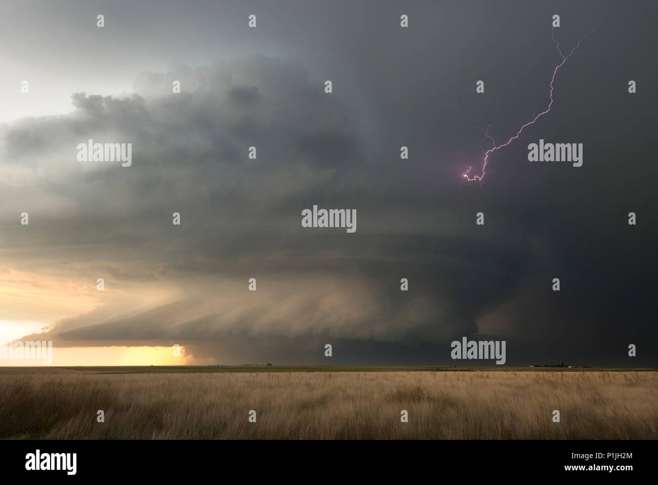 Cloud to air lightning during sunset supercell and wall cloud fields ...