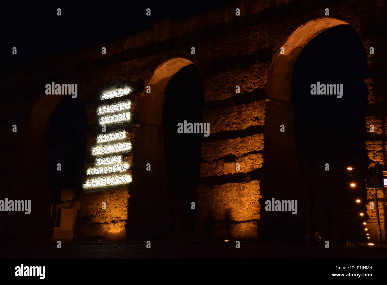 Gato equilibrio hi-res stock photography and images - Alamy