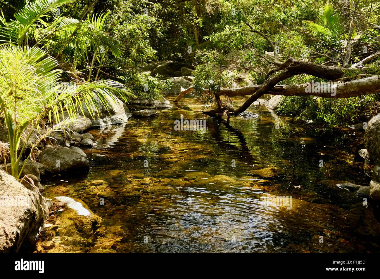 Rollingstone creek, Paluma Range National Park, Rollingstone QLD ...