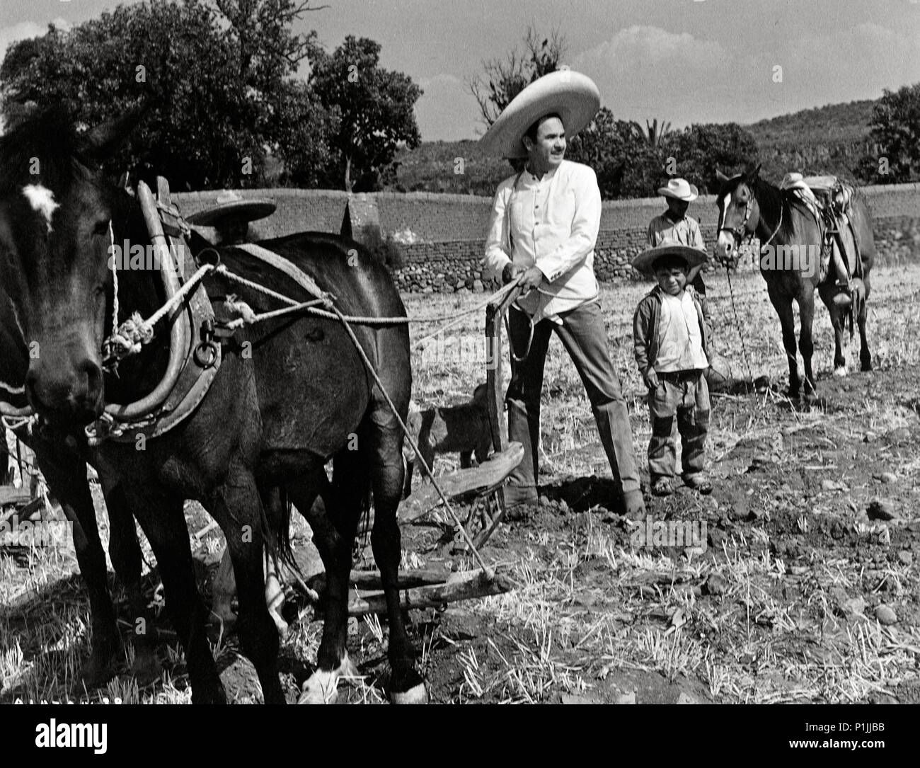 Original Film Title: EL ALAZAN Y EL ROSILLO. English Title: EL ALAZAN Y ...