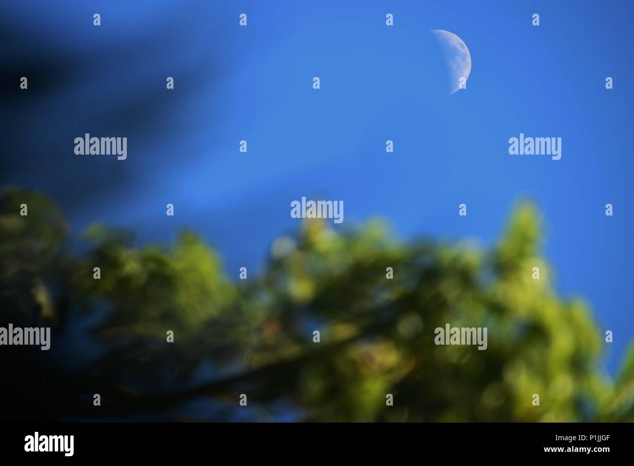 Lua hi-res stock photography and images - Alamy