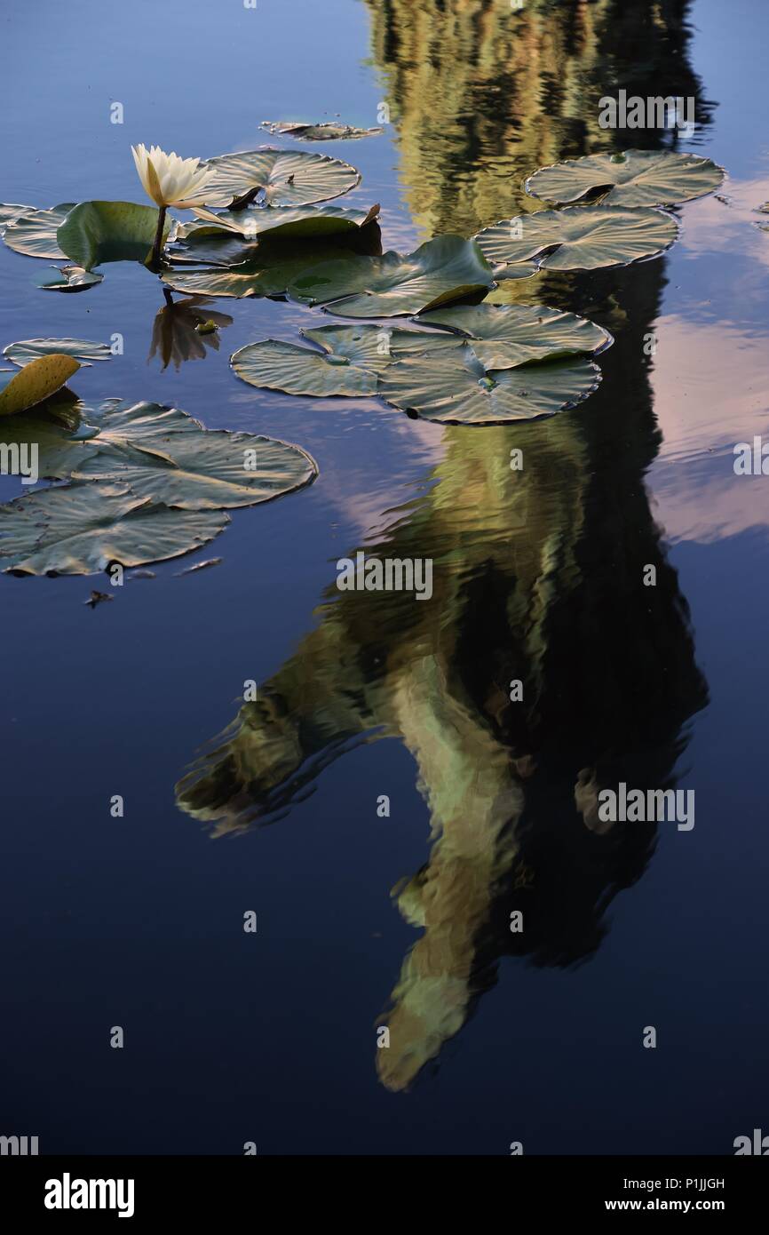 Flor arte escultura hi-res stock photography and images - Alamy