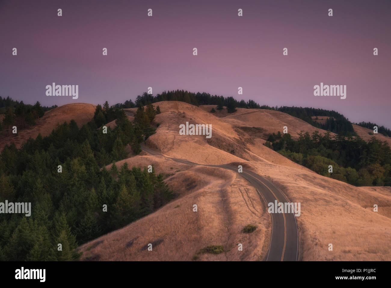 Highway in the hills of Mount Tamalpais State Park, Marin County ...