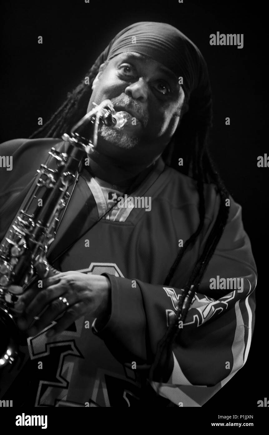 Courtney Pine Artist: Alan John Ainsworth Stock Photo - Alamy