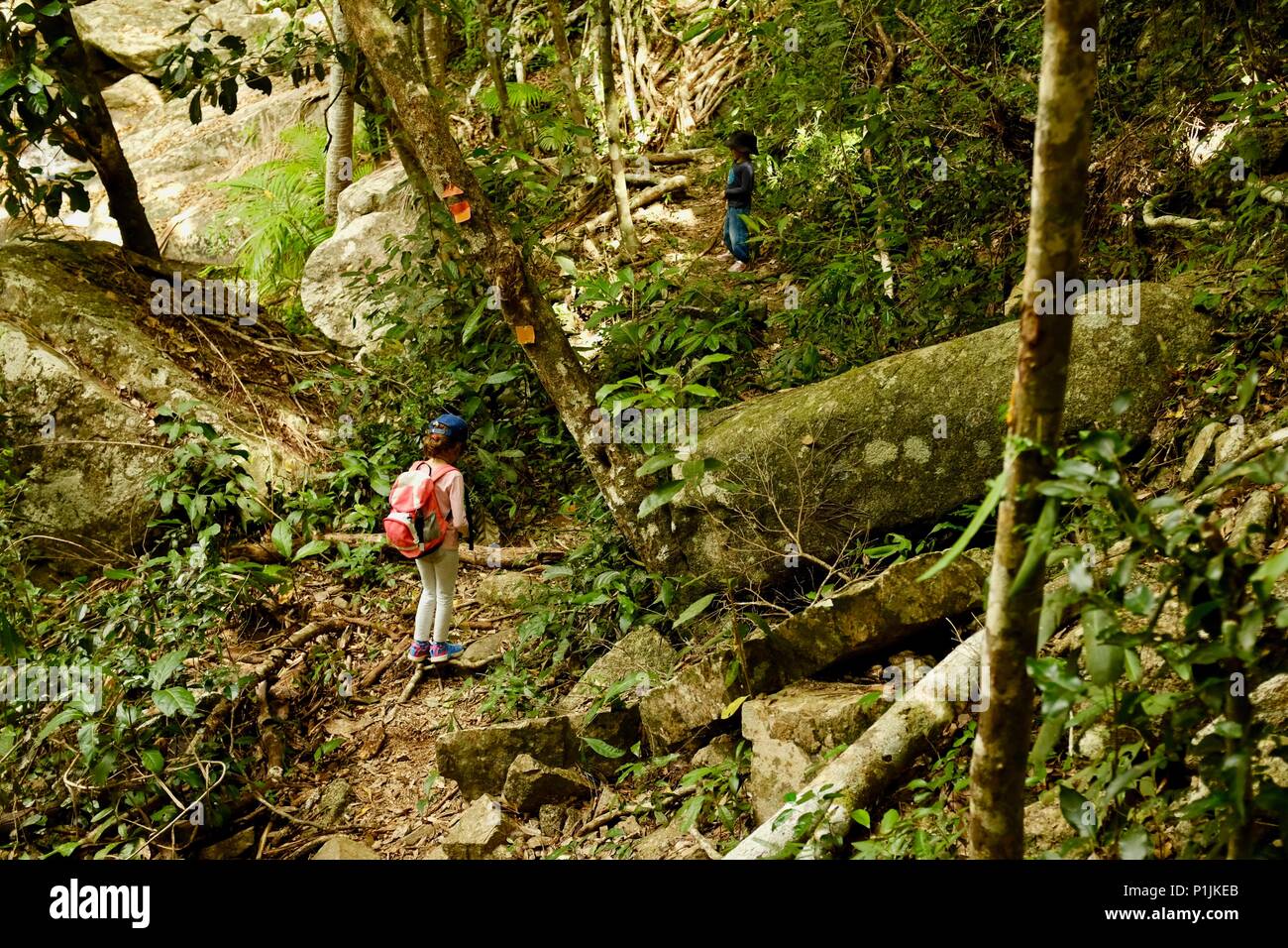 Young girl walks through a rainforest, Paluma Range National Park ...