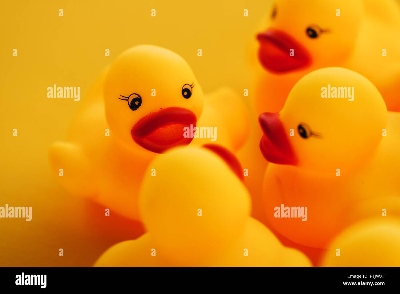 Rubber ducks in leadership concept, small yellow duckling as leader ...