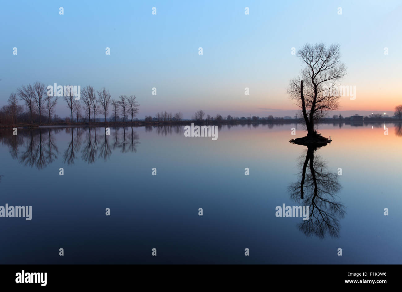 Tree in lake with color sky Stock Photo - Alamy