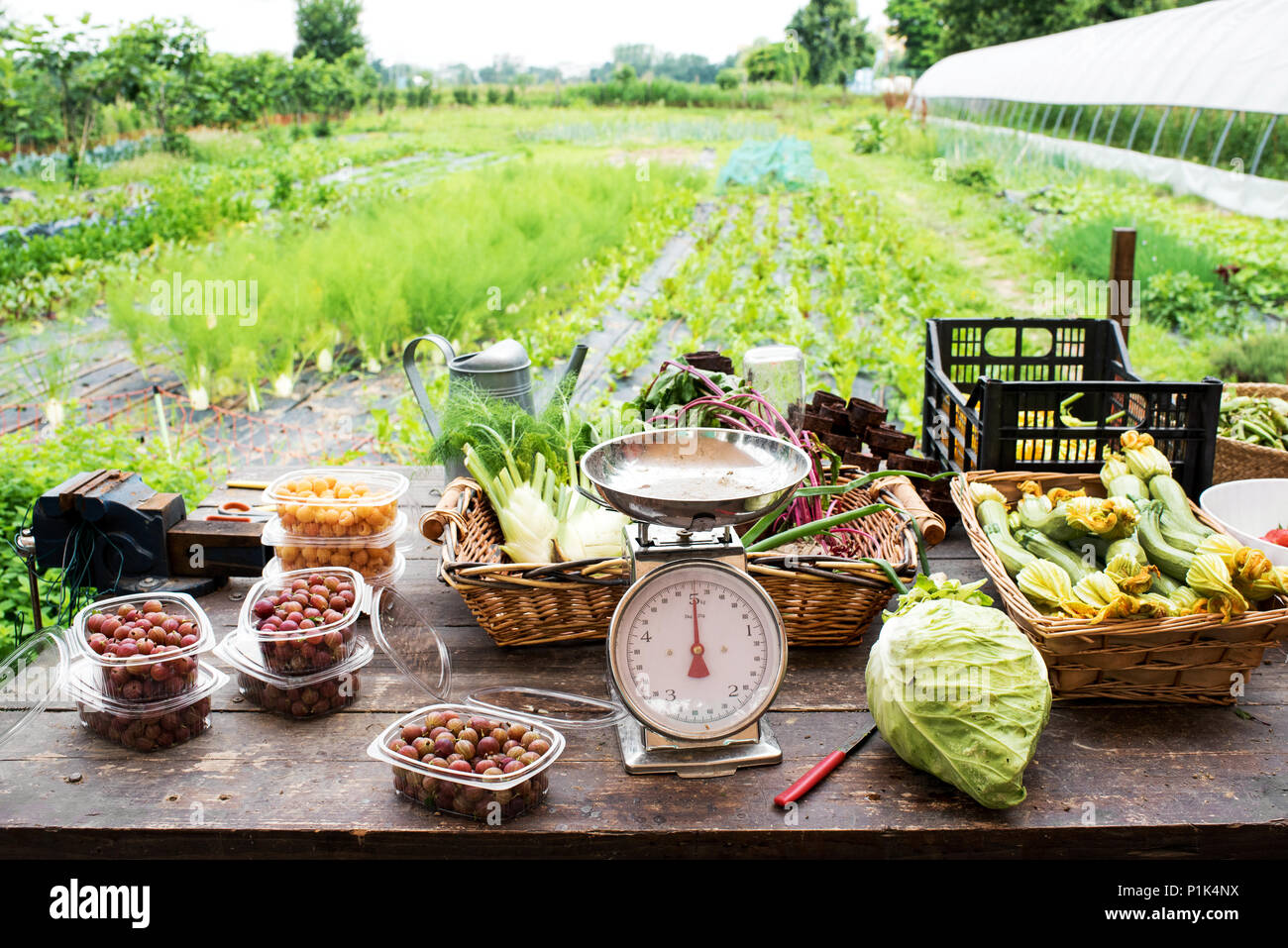 Fresh produce scale hi-res stock photography and images - Alamy