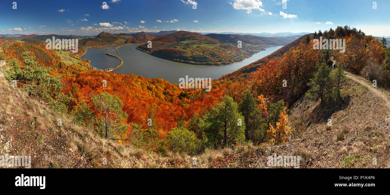 Fall Panorama with forest at a day Stock Photo - Alamy