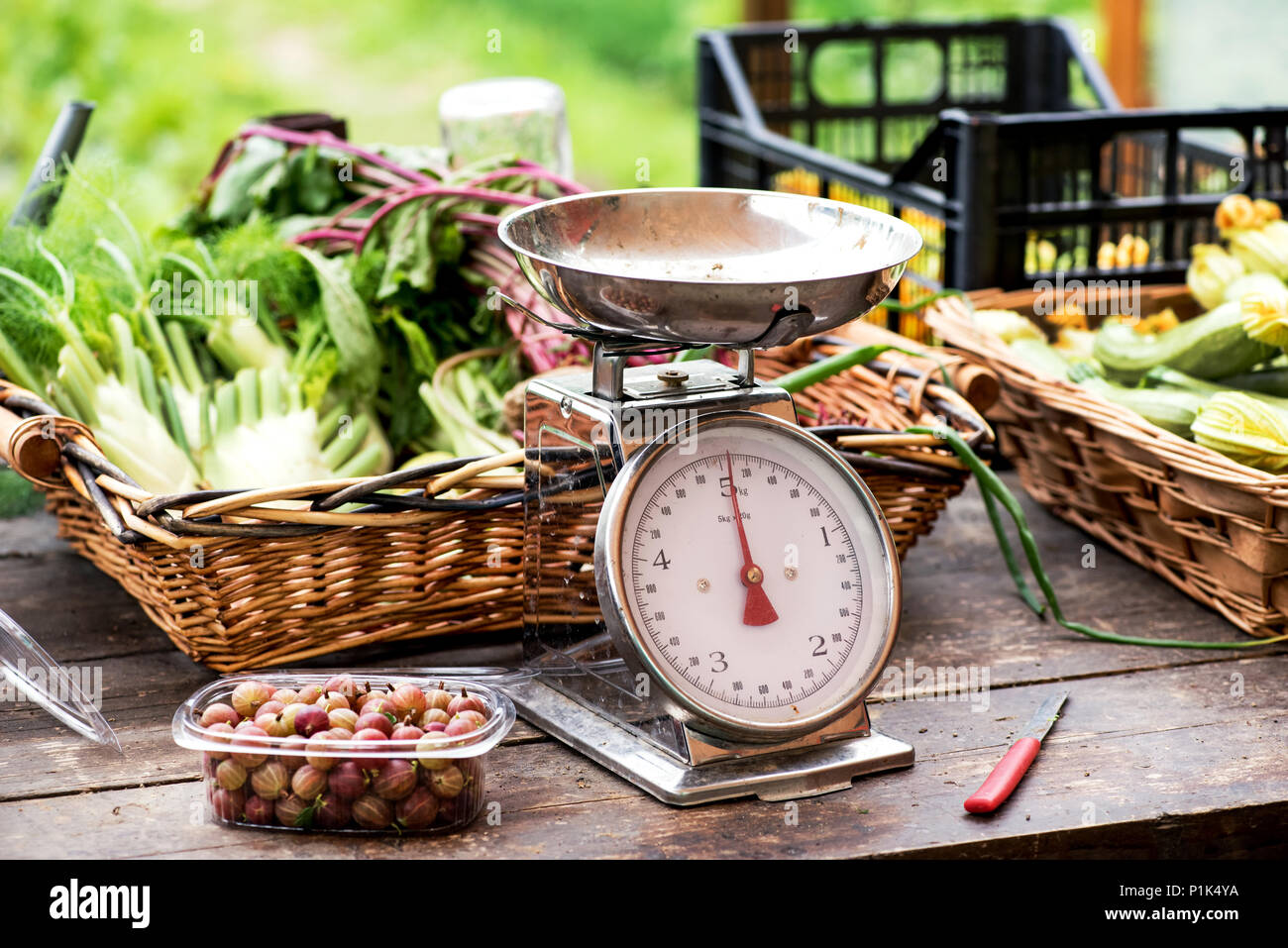 Crops containers hi-res stock photography and images - Alamy