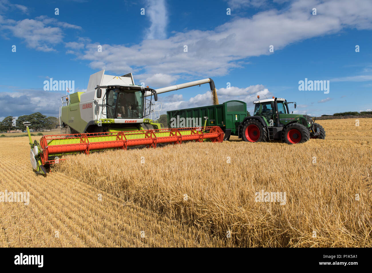 Claas Lexicon 760 combine filling trailer with grain, pulled by a Fendt ...