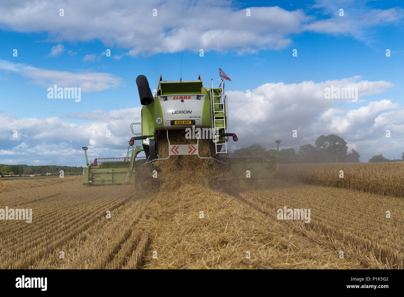 Combining Barley with a Claas Lexicon 760 combine and a 35ft header ...