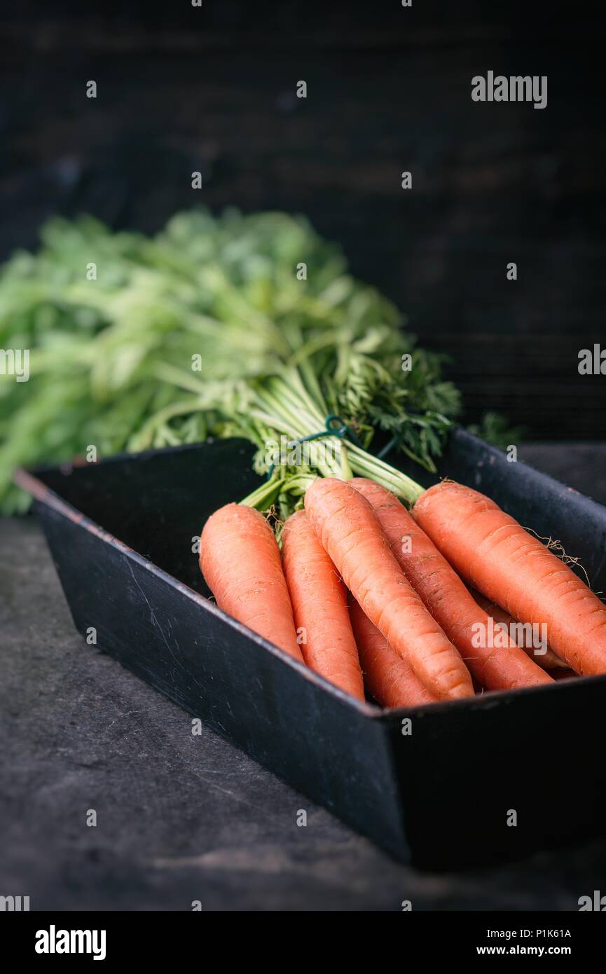 Baby carrots macro hi-res stock photography and images - Alamy